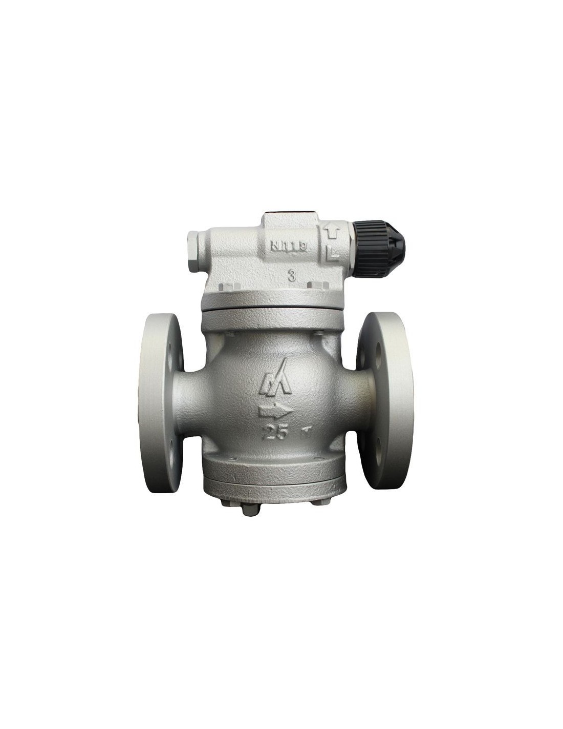 Miyawaki - Pressure reducing Valve - Pilot Operated for steam - RE10N